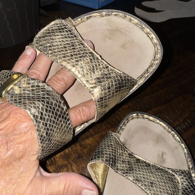 ALEGRIA Women's Gold Snake Print KAR-236 40 EU US 9.5/10 | eBay