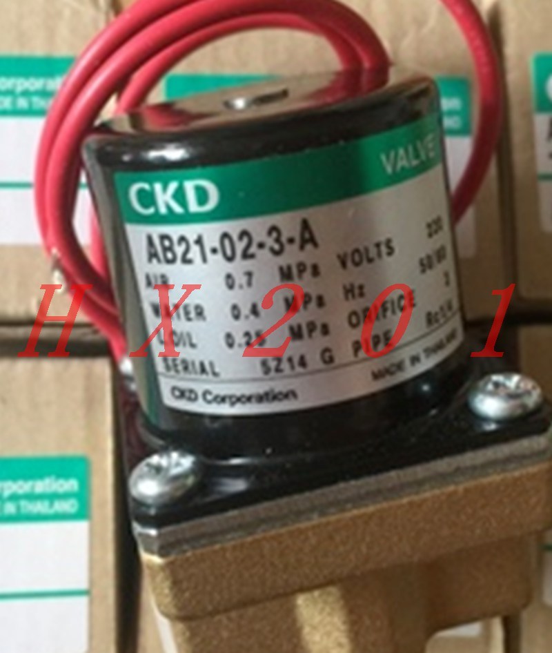ONE NEW CKD Solenoid Valve AB21-02-3-A-AC220V | eBay