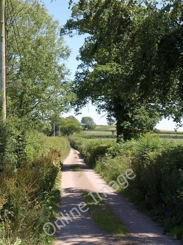 Photo 6x4 Lane to Thorne Cross Clayhanger\/ST0222 From the point where ...