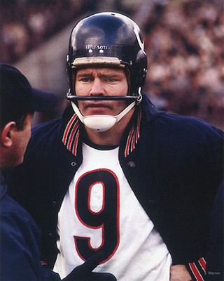 BILL WADE CHICAGO BEARS 8X10 PHOTO | eBay