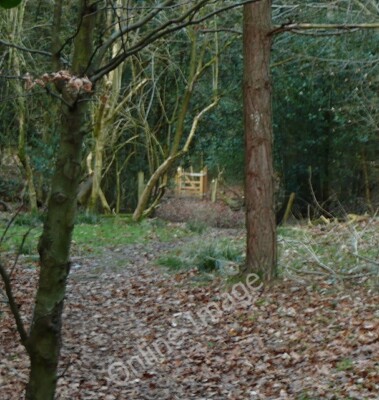 Photo 6x4 Gate onto Naphill Common Hunt's Hill The path through Great ...