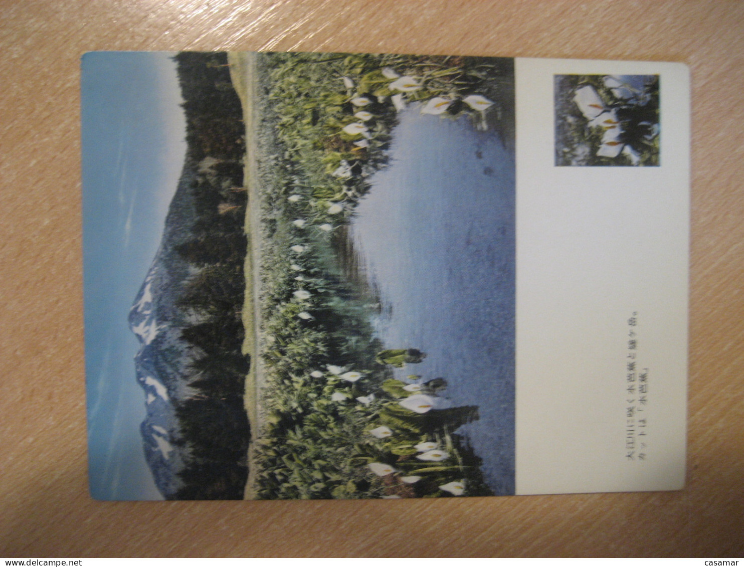 Agriculture Fukuda Japan Postcard | eBay