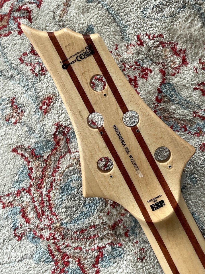 ESP LTD B-205SM Fretless Bass Guitar neck Natural Satin | eBay