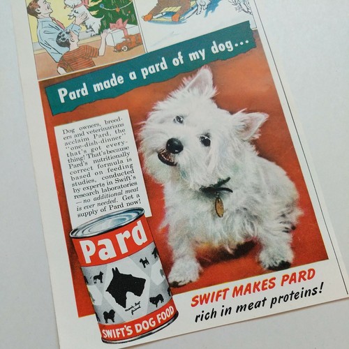 Vintage SWIFT PARD DOG FOOD SCOTTIE TERRIER 1947 Magazine Ad | eBay
