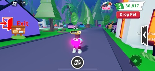 Mega Fly Ride Owl Adopt Me Same Day Delivery | eBay