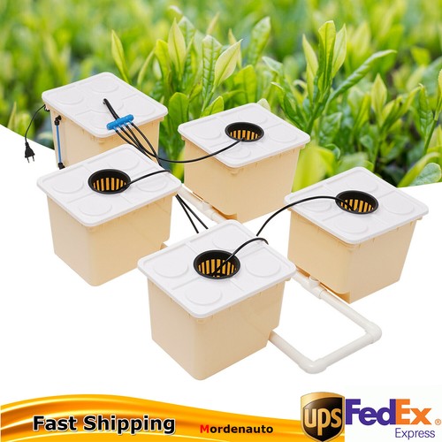 Hydroponics Deep Water Culture DWC Hydroponic System buckets Drip ...