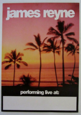 JAMES REYNE ORIGINAL TOUR POSTER | eBay Australia