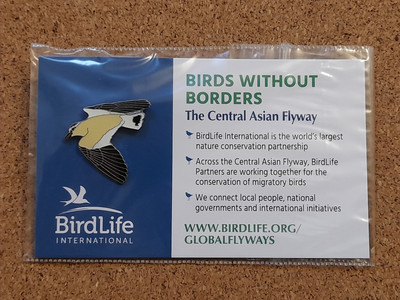 SOCIABLE LAPWING Birdlife Charity Pin Badge RSPB Interest BIRD | eBay UK