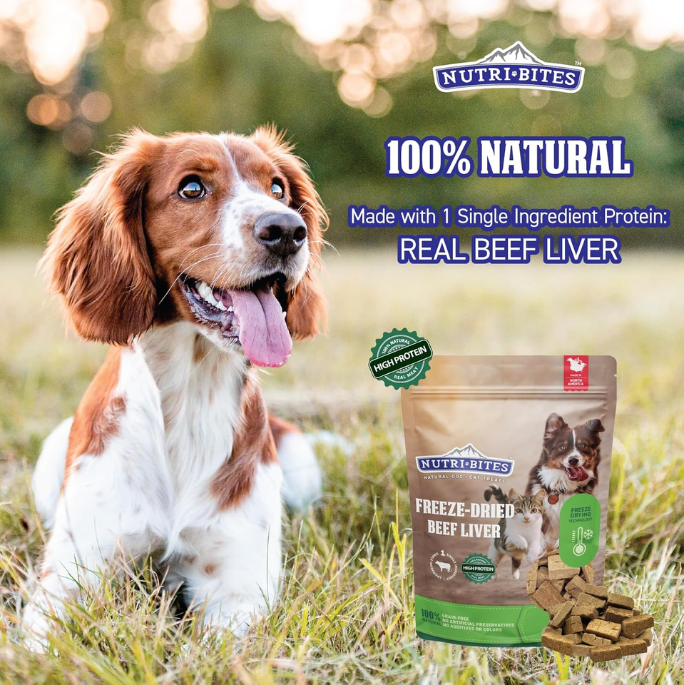 Nutri Bites Freeze Dried Beef Liver Dog & Cat Treats | Healthy Pet ...