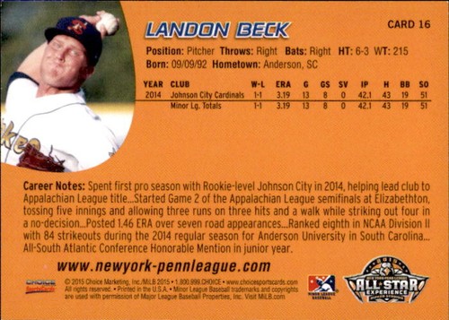 2015 New York-Penn League All-Stars #16 Landon Beck Anderson South ...