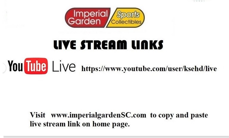 24-25 SP AUTHENTIC HOCKEY 8 BOX CASE BREAK #5628 - Detroit Red Wings | eBay