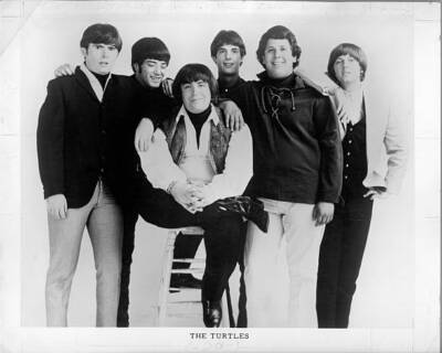 Turtles OLD PHOTO Music Band Singer Performer 16 | eBay Australia