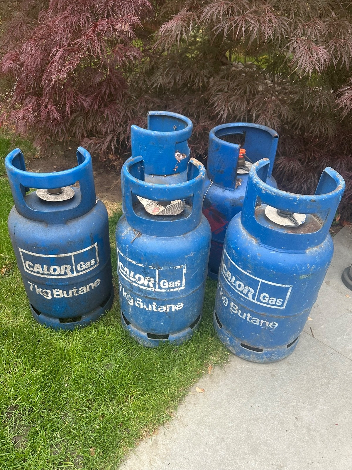 Calor 7kg butane gas bottle (empty) | eBay UK