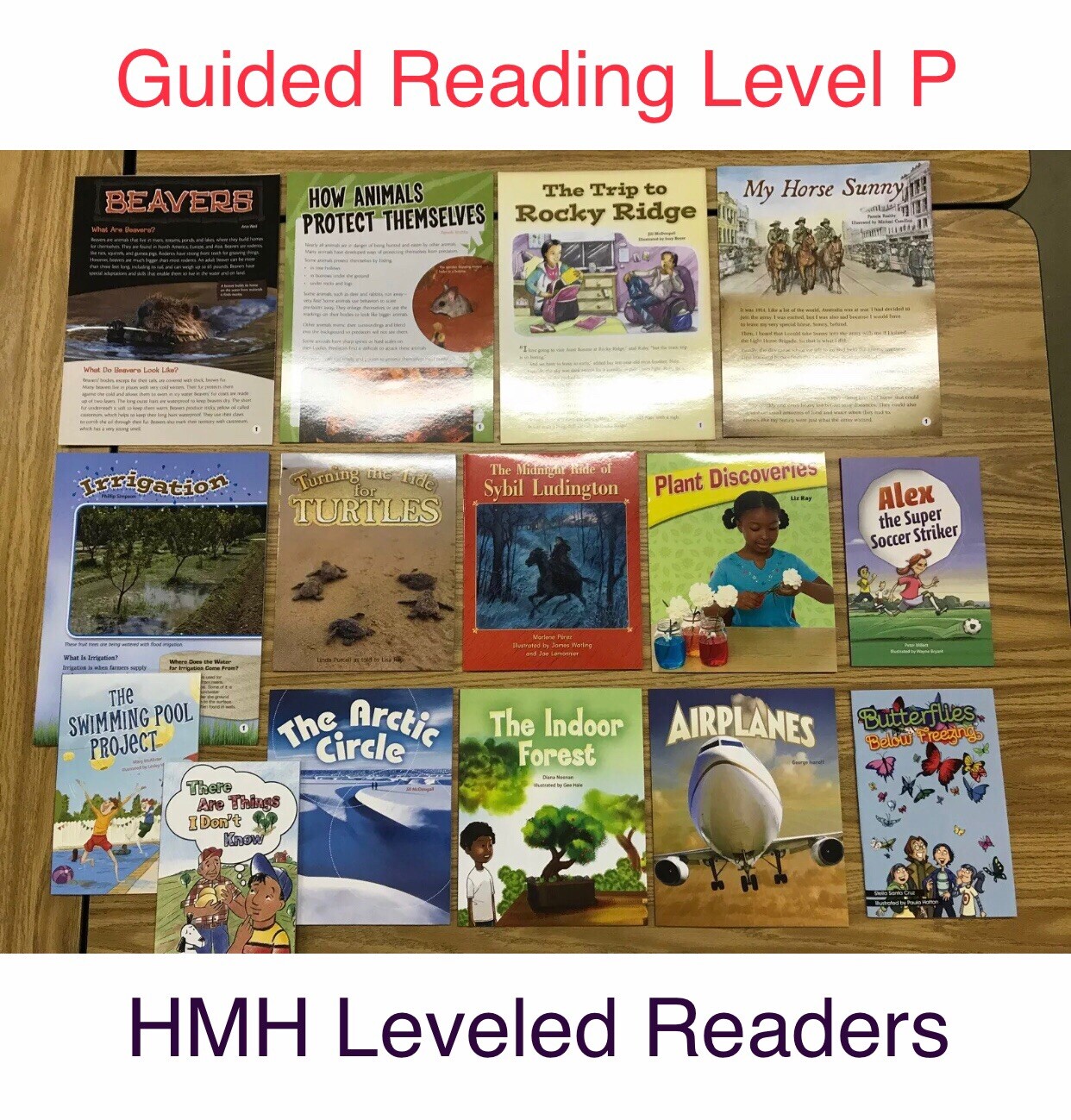 New! HMH Into Reading RIGBY Grade 3 Leveled Readers 15 Books *Level P ...