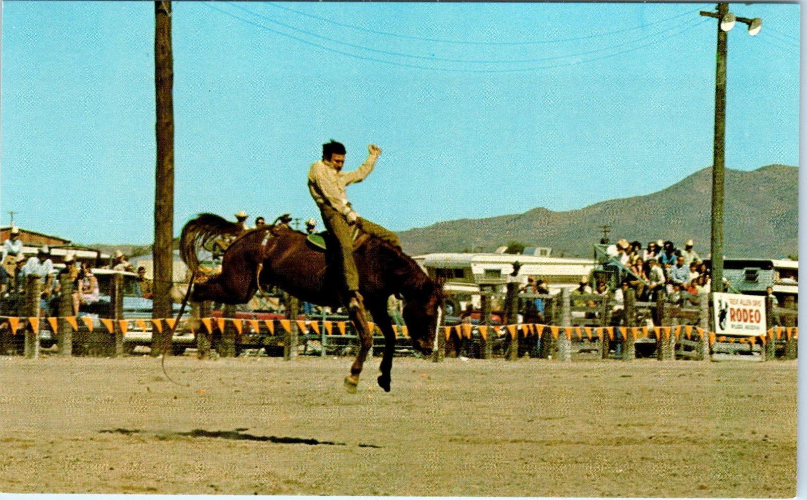WILCOX, AZ REX ALLEN DAYS- Bronc Rider at RODEO c1960s Postcard | eBay