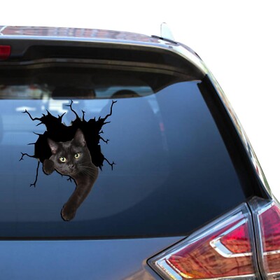 Black Cat Funny Stickers Large Black Cat Decal Cat Sticker Decal Funny ...