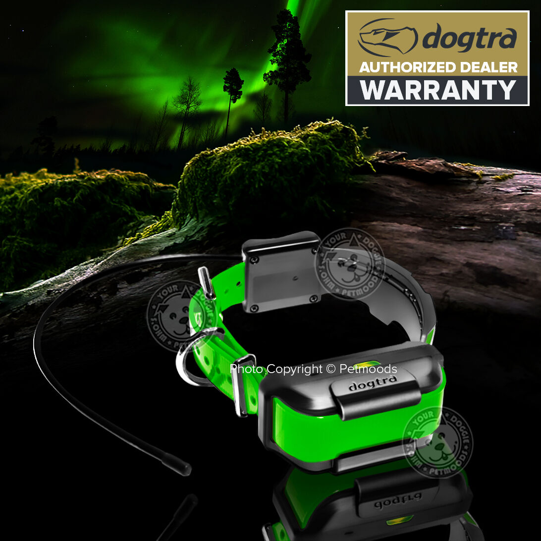 Dogtra Pathfinder Green GPS Tracking & Training Dog Collar ONLY | eBay