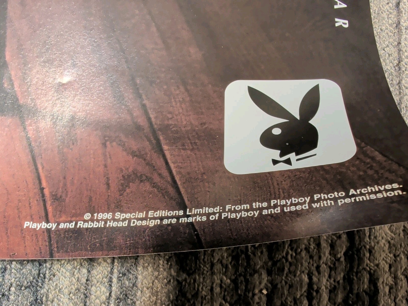 1996 Playboy Poster Angel Lynn Boris By Don Diego Cigar 23x35 Special ...