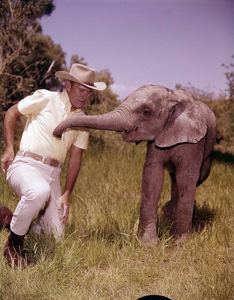 CHUCK CONNORS Cowboy in Africa 1967 OLD TV PHOTO 14 | eBay Australia