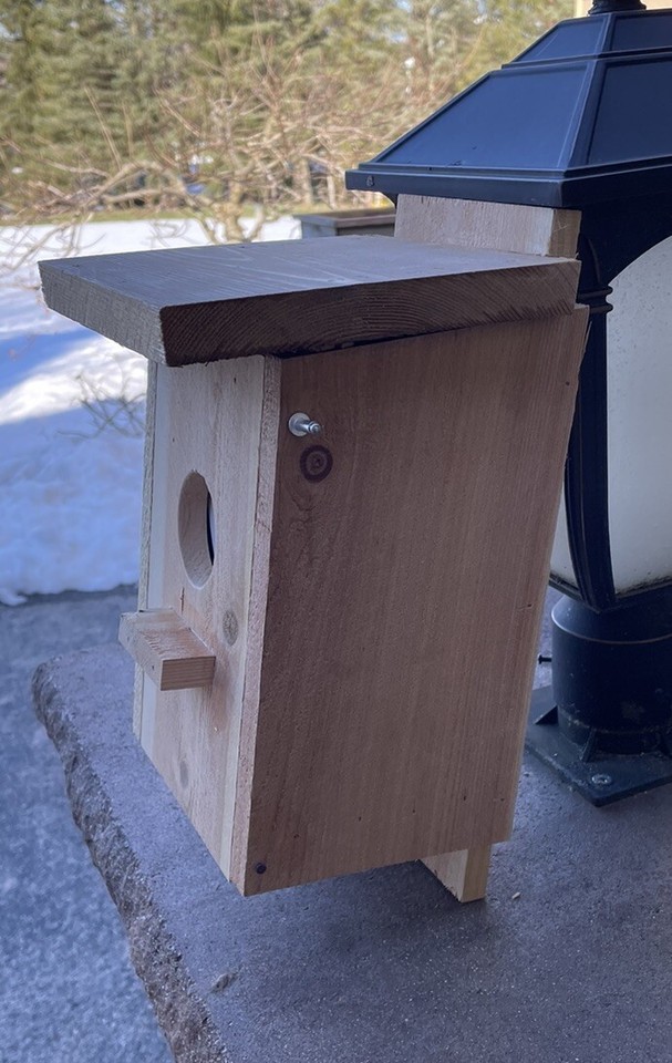 House Sparrow-Starling Nest Box Trap | eBay