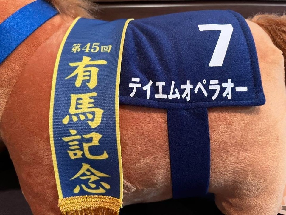 TM Opera O Thoroughbred Collection Big Plush Doll Toy Japanese Horse ...