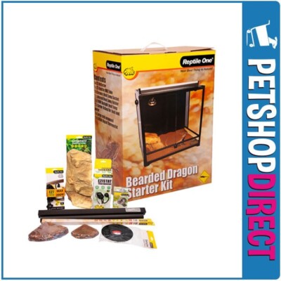 Reptile One Bearded Dragon Starter Kit | eBay Australia