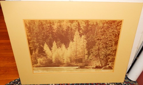 WILLIAM PLANTE "FOREST POOL" LARGE SIGNED COLOR PHOTOGRAPH LISTED ...