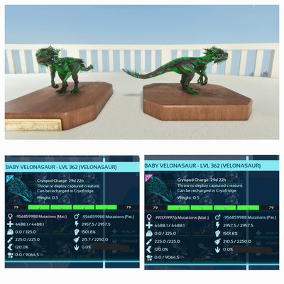 ARK ASA PVE OFFICIAL PAIR BABY VELONASAUR MONSTER 1501.8% MELEE | eBay