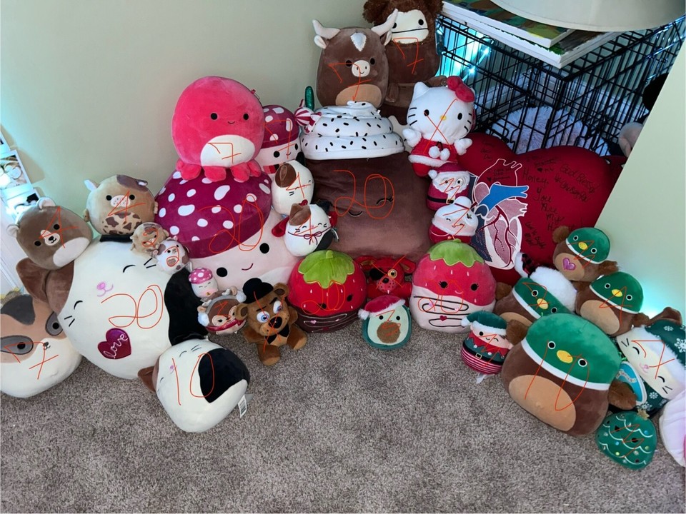 Squishmallow big lot - entire collection - includes tags | eBay