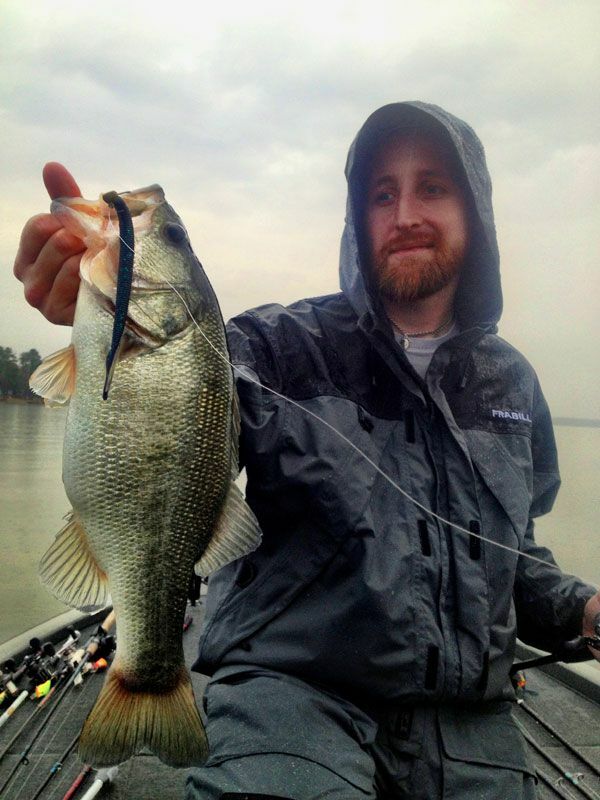 25 pk - 6" Finesse Worms - JUNEBUG - SALT & SCENT - Bulk Lures- Bass ...