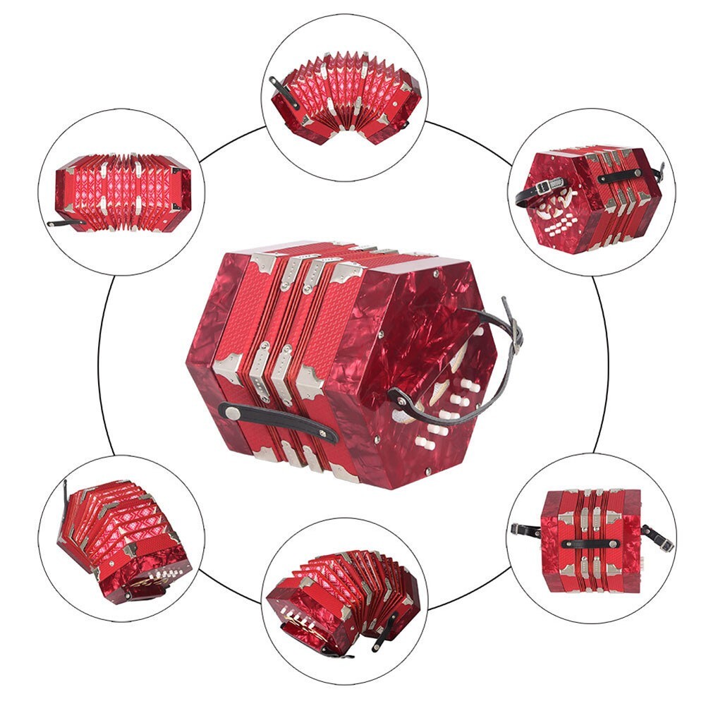 Concertina Concertina 40 Reed Concertina | Grelly UK