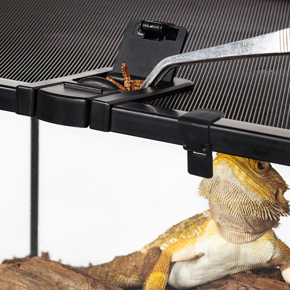 2 Pieces Anti-escape Lock Baby Reptile Tanks Clips Terrarium for ...