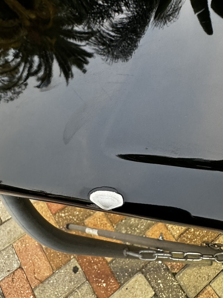 2005-2006 Ford GT40 Supercar Front Hood Panel *DAMAGED | Genuine OEM ...