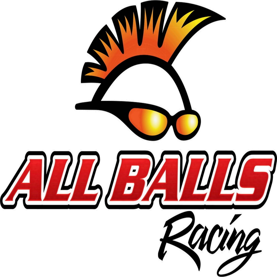 All Balls Bombardier Can-Am Ds650 Ds 650 Rear Axle Bearings & Seals 25 ...