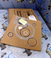 Goulds Maintenance Repair Kit R196STPRKO Model 3196 St STX Sizes 6" 8 ...