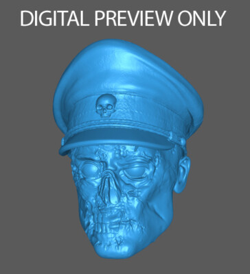 Zombie General 1:18 scale custom Head for 3.75 inch action figures ...