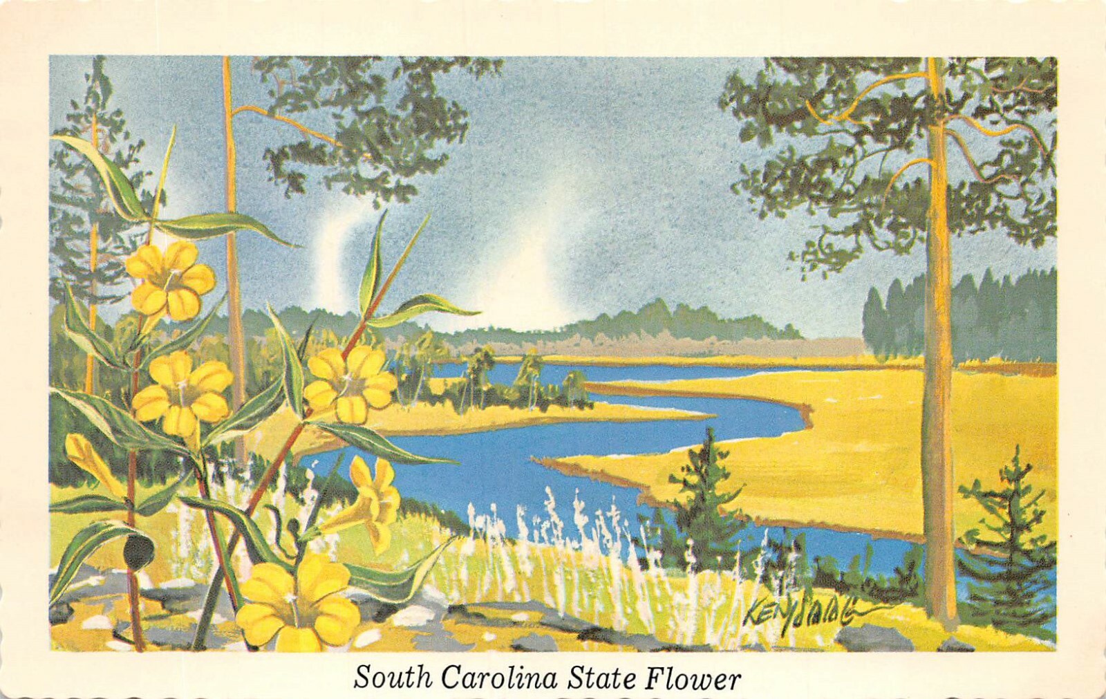 # A2084 SOUTH CAROLINA STATE FLOWER POSTCARD, CAROLINA JESSAMINE | eBay