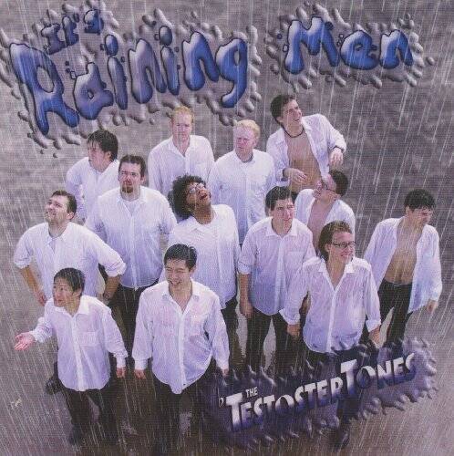 Its Raining Men - Audio CD By The Testostertones - VERY GOOD | eBay