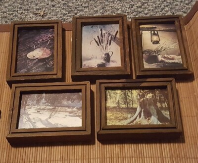 5 Art Gore Prints In Colorado Barnwood Frames | eBay