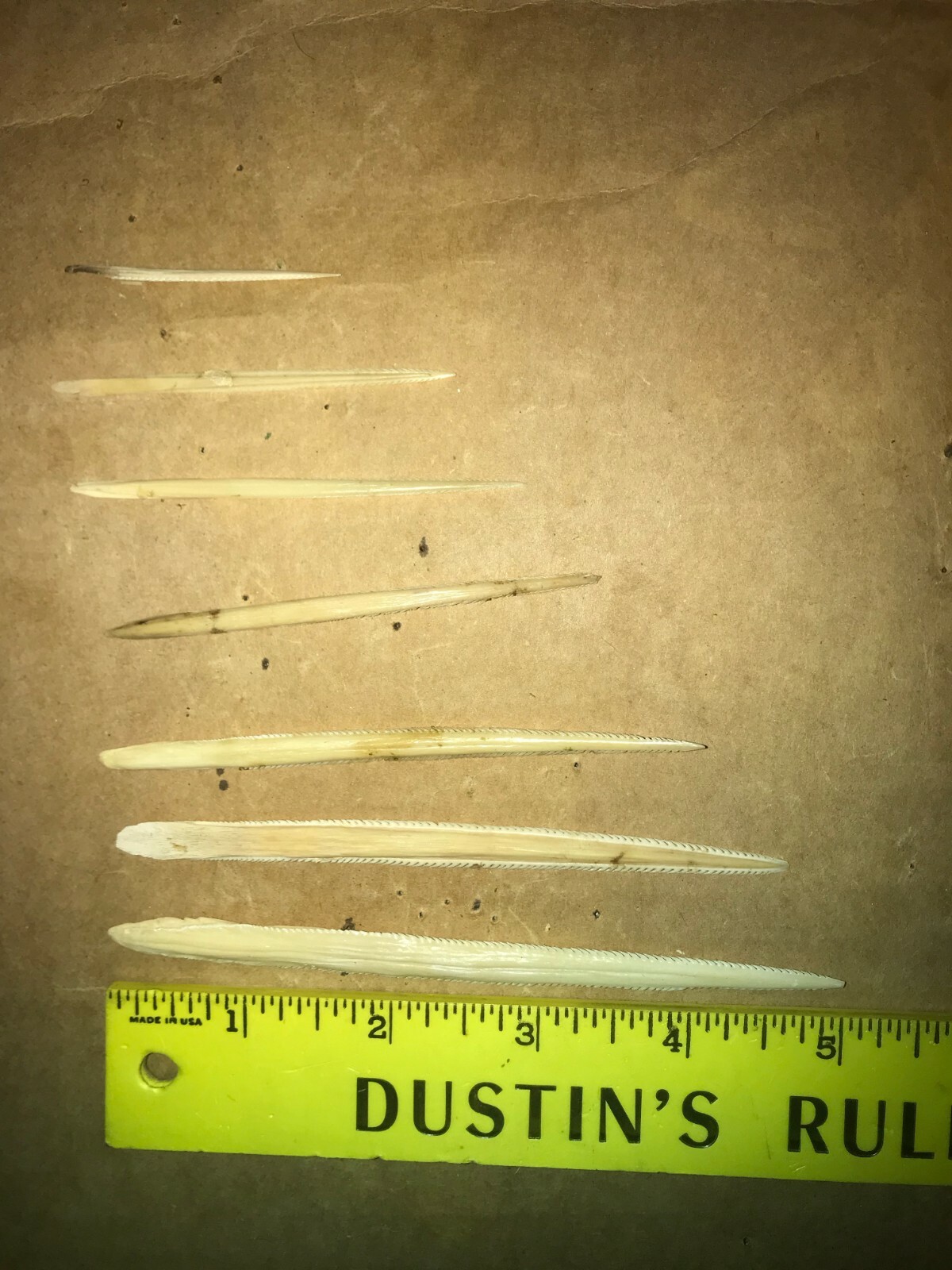 Stingray Stingers Sting Ray Barbs 4 1/2 inch | eBay