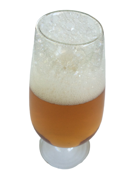 FAKE BEER GLASS No Spill Stage Magic Liquid Production Whisky Food Prop ...