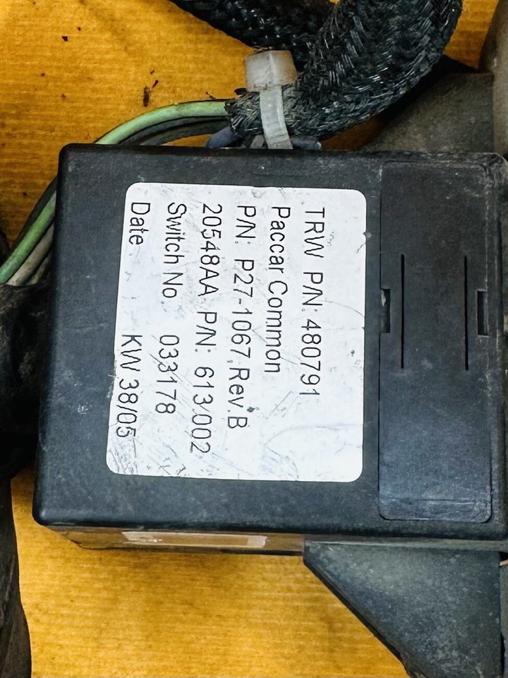 Peterbilt Paccar Common Turn Signal | eBay