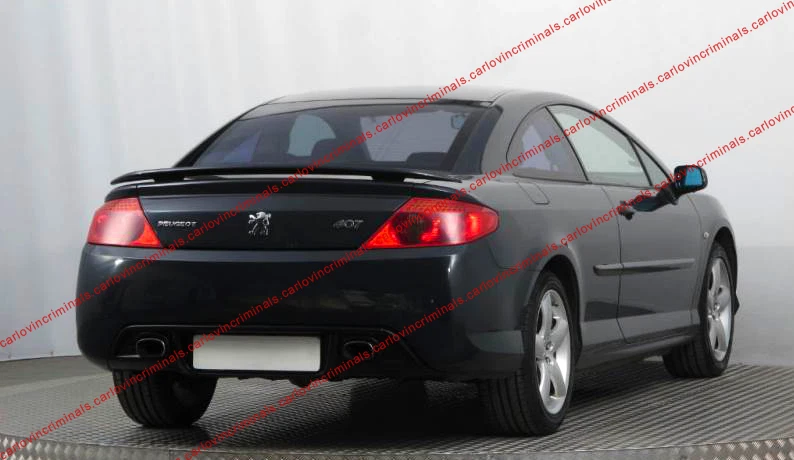 Peugeot 407 Tuning Styling