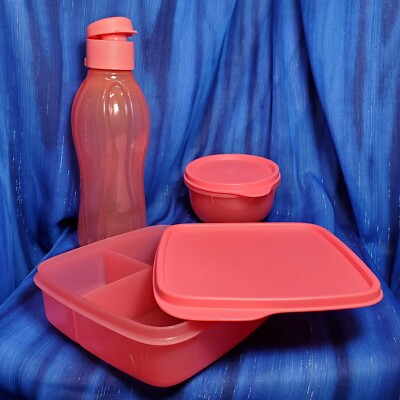 Tupperware Snack Set Lunch-it Lil Bowl Water Bottle Red/Orange Set NEW ...