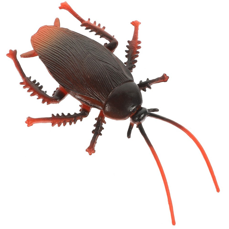 Plastic Fake Cockroach Prop Realistic Bug Halloween Trick Joke Party ...