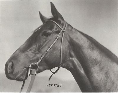 JET PILOT 8X10 PHOTO HORSE RACING PICTURE JOCKEY | eBay