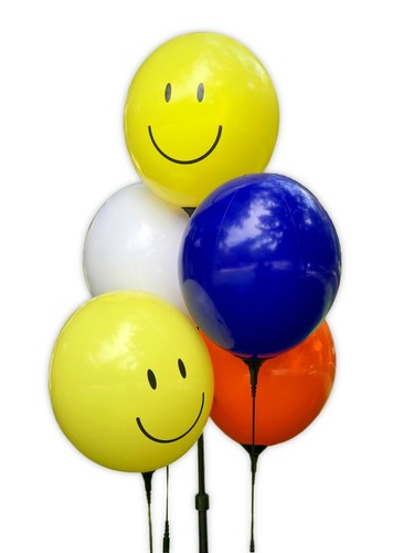 Reusable Balloon Cluster Kit W/ Ground Spike - Smiley Face Balloons No ...
