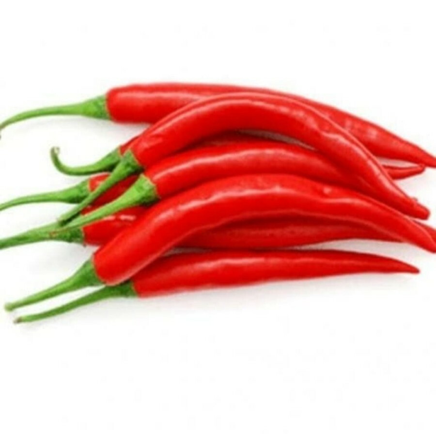 25 (twenty five) seeds of CABE MERAH BESAR (LOMBOK) - INDONESIAN hot ...