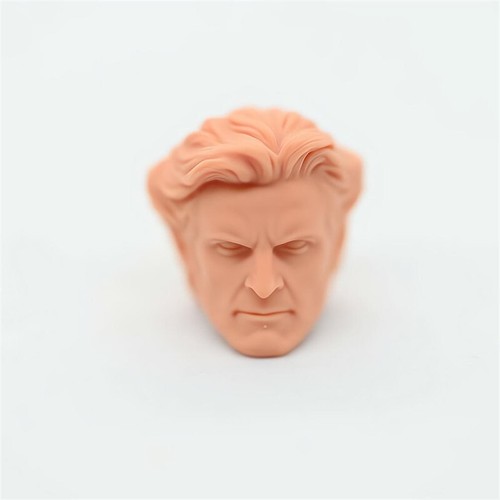 1/12 Scale X MAN 1.0 Wolverine Logan Head Sculpt Unpainted Fit 6" ML ...