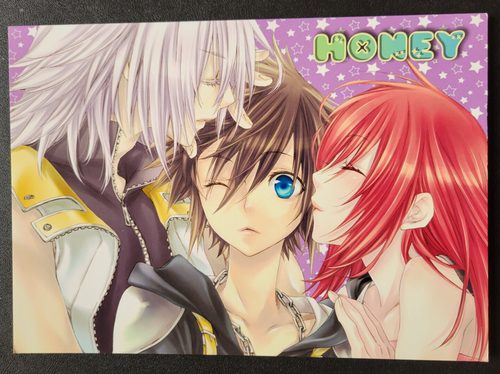 Kingdom Hearts II KH2 Riku/Sora Yaoi BL Doujinshi - HONEY | eBay